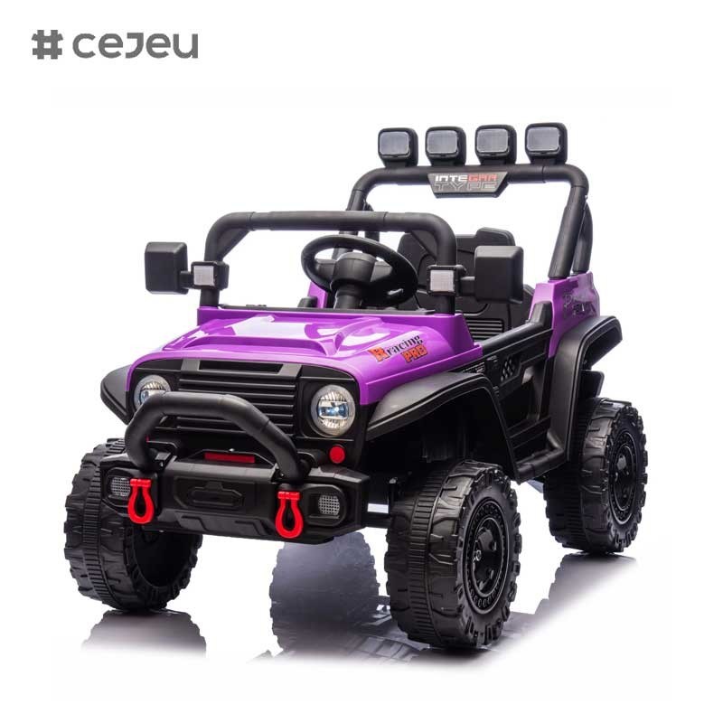 CJ-HP-018SJ 4 Wheel Drive Powered UTV Models Good Choice Rear Storage ...